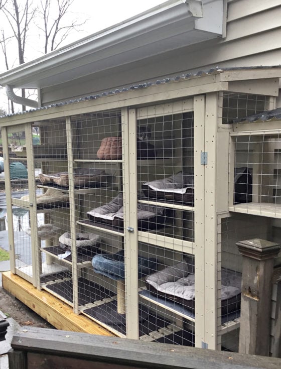 Easy DIY Ikea catio made from wood utility shelving - Cuckoo4Design