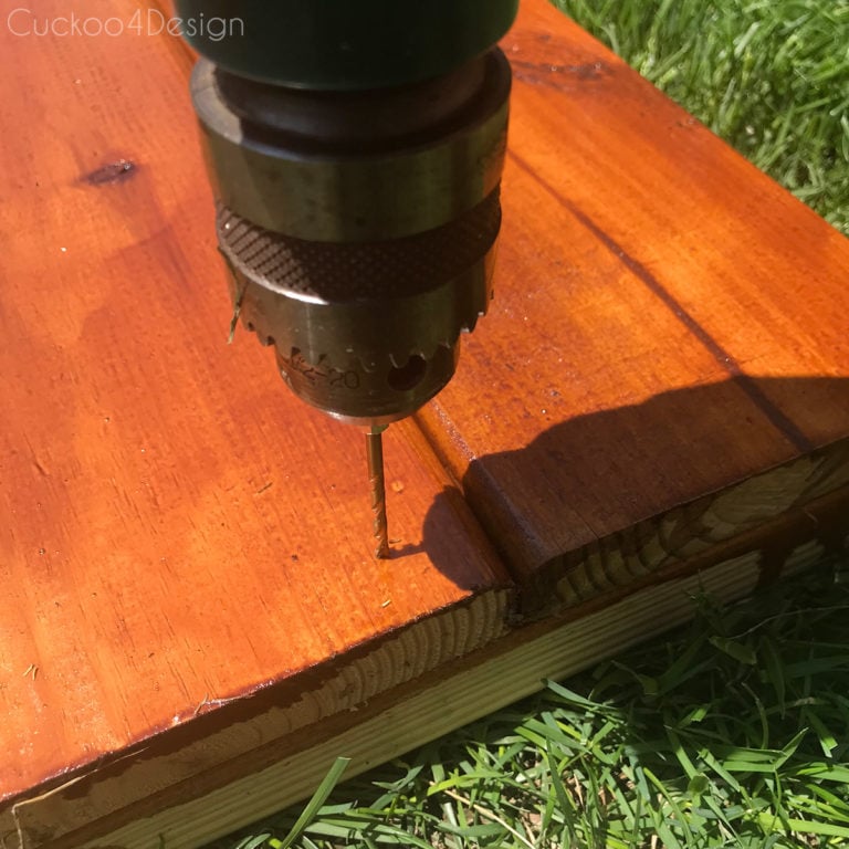 How to build an outdoor cat tunnel - Cuckoo4Design