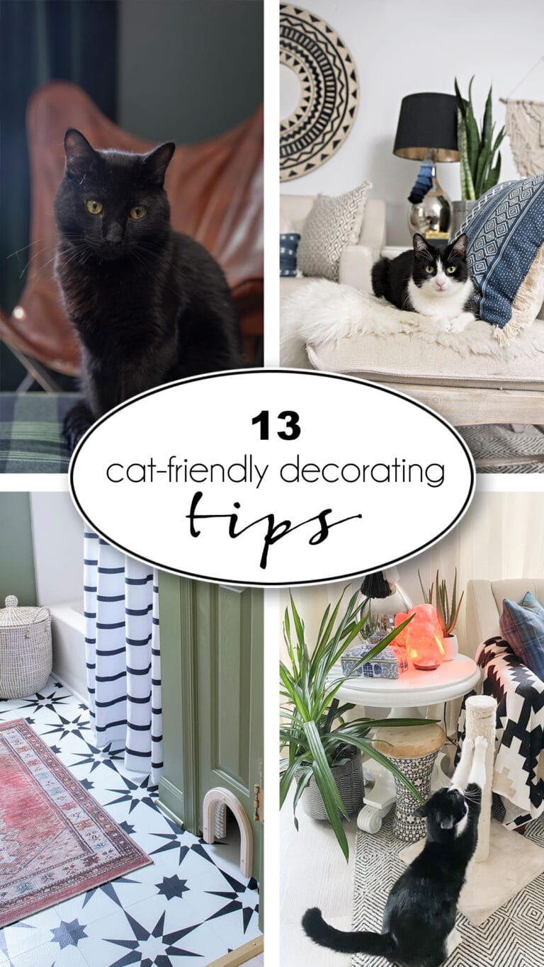 My comprehensive cat-friendly decorating tips - Cuckoo4Design