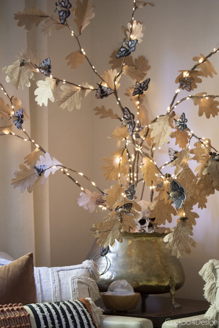 How to make a fun paper moth (template included) - Cuckoo4Design