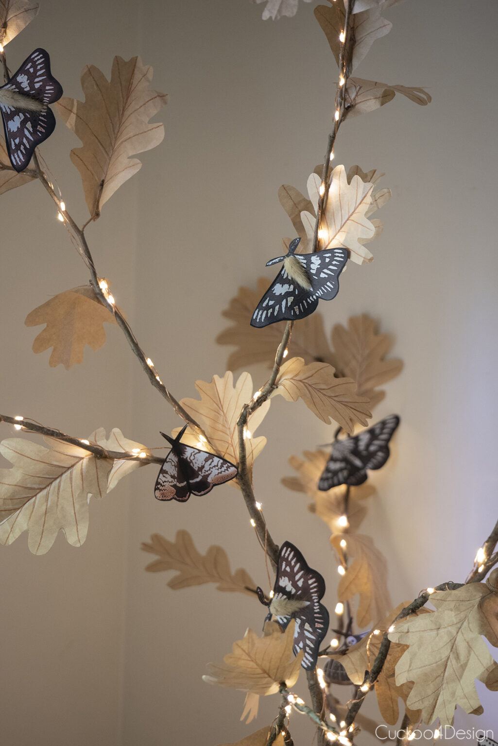 How to make a fun paper moth (template included) - Cuckoo4Design