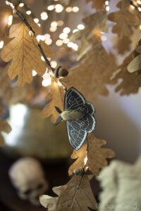 How to make a fun paper moth (template included) - Cuckoo4Design