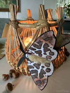 How to make a fun paper moth (template included) - Cuckoo4Design
