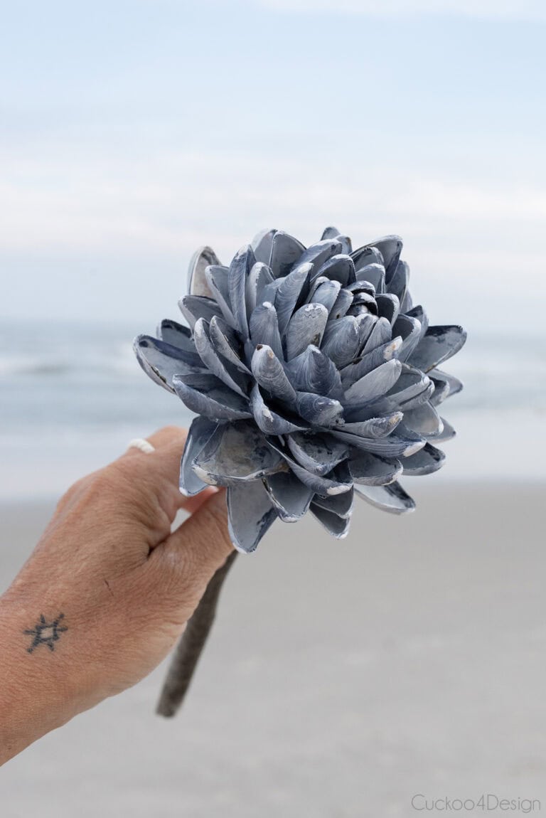DIY mussel shell craft that looks like a protea flower - Cuckoo4Design