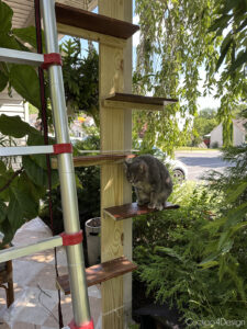 DIY outdoor cat ladder or stairs to second-floor window - Cuckoo4Design