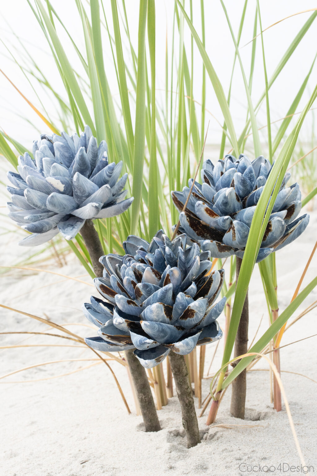 DIY mussel shell craft that looks like a protea flower - Cuckoo4Design